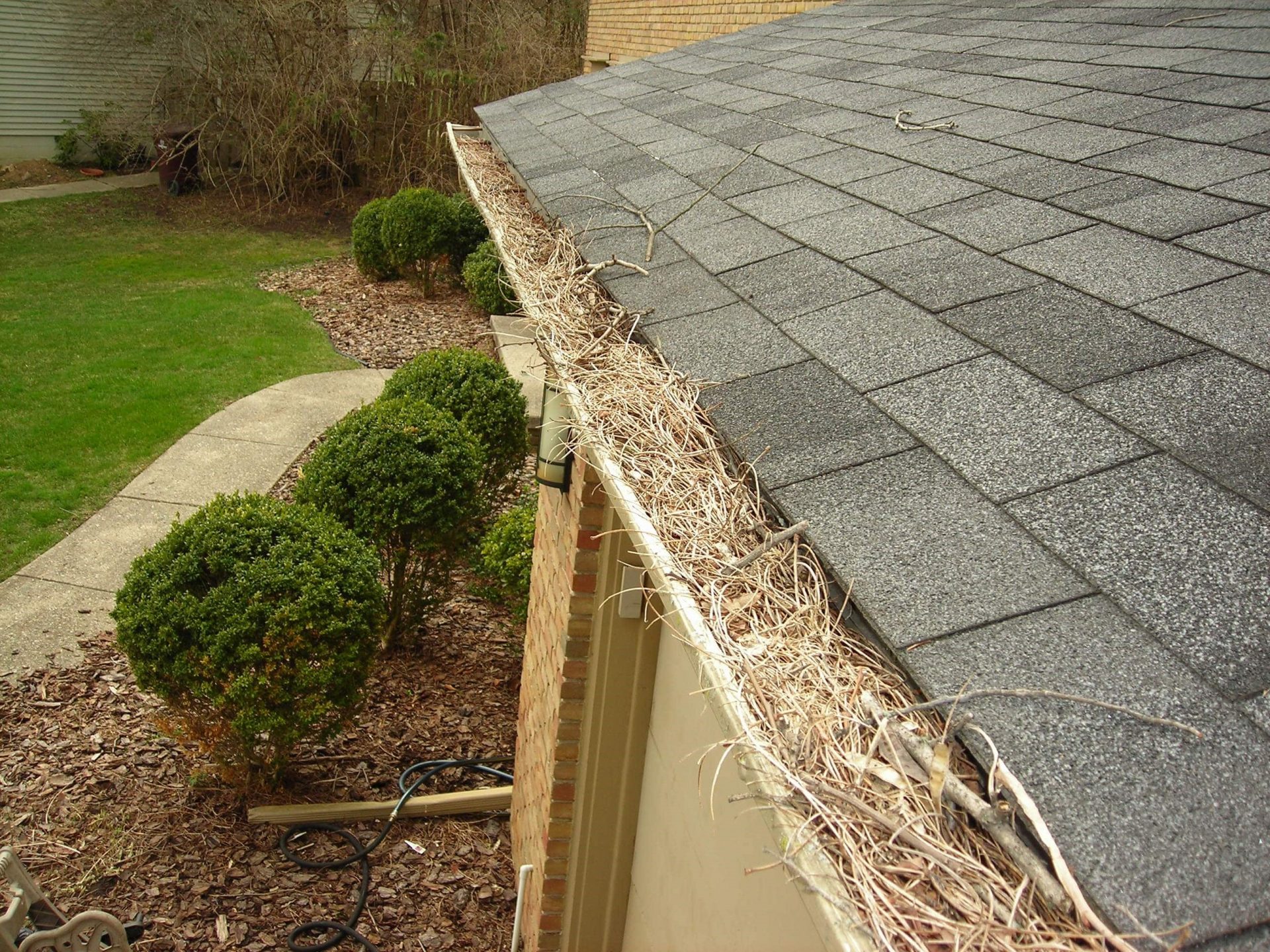 Gutter Cleaning & Repairs: Your Go-To Solution for Gutter Issues