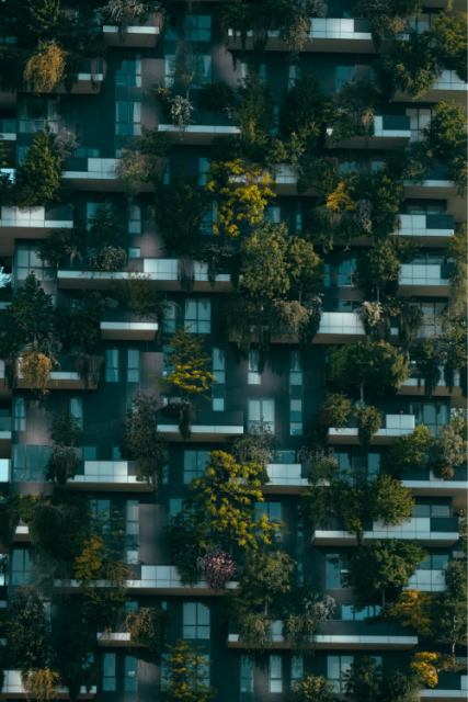 Architectural Trends and Design Solutions