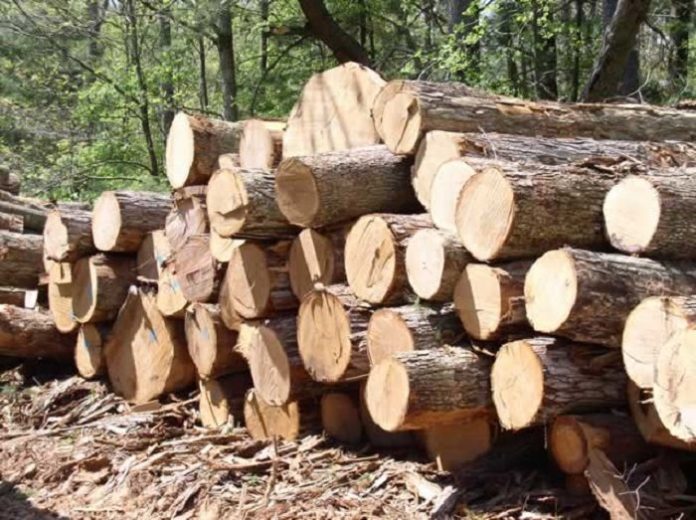 Zimbabwe timber firm Allied Timber to buy milling equipment