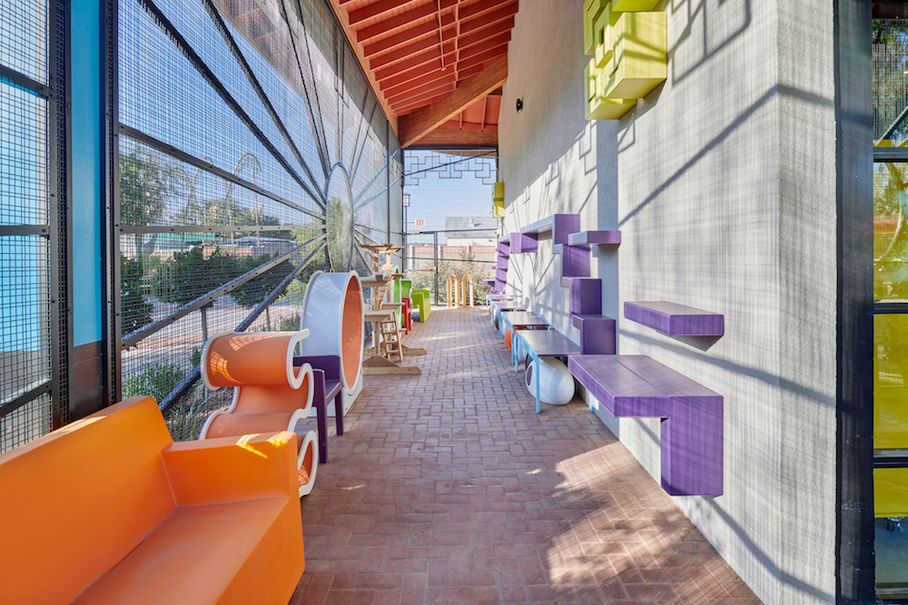 The El Paso Zoo?s Cat Adoption Center