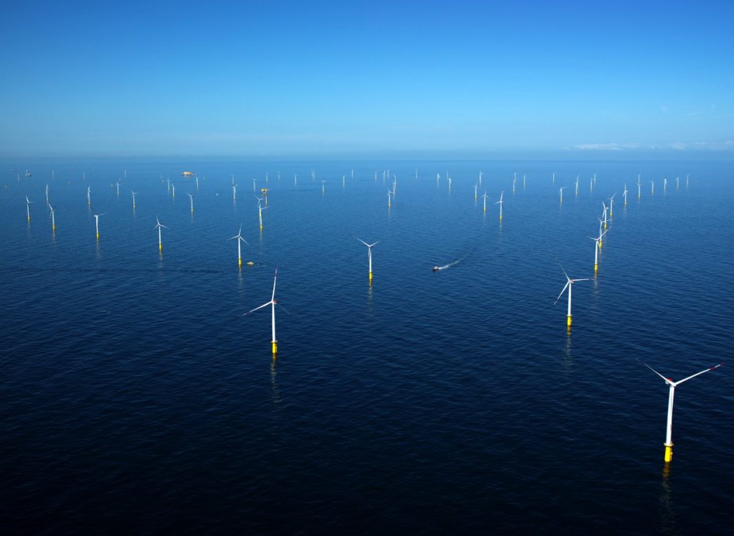 Plans revealed for Botafogo offshore wind farm in Portugal