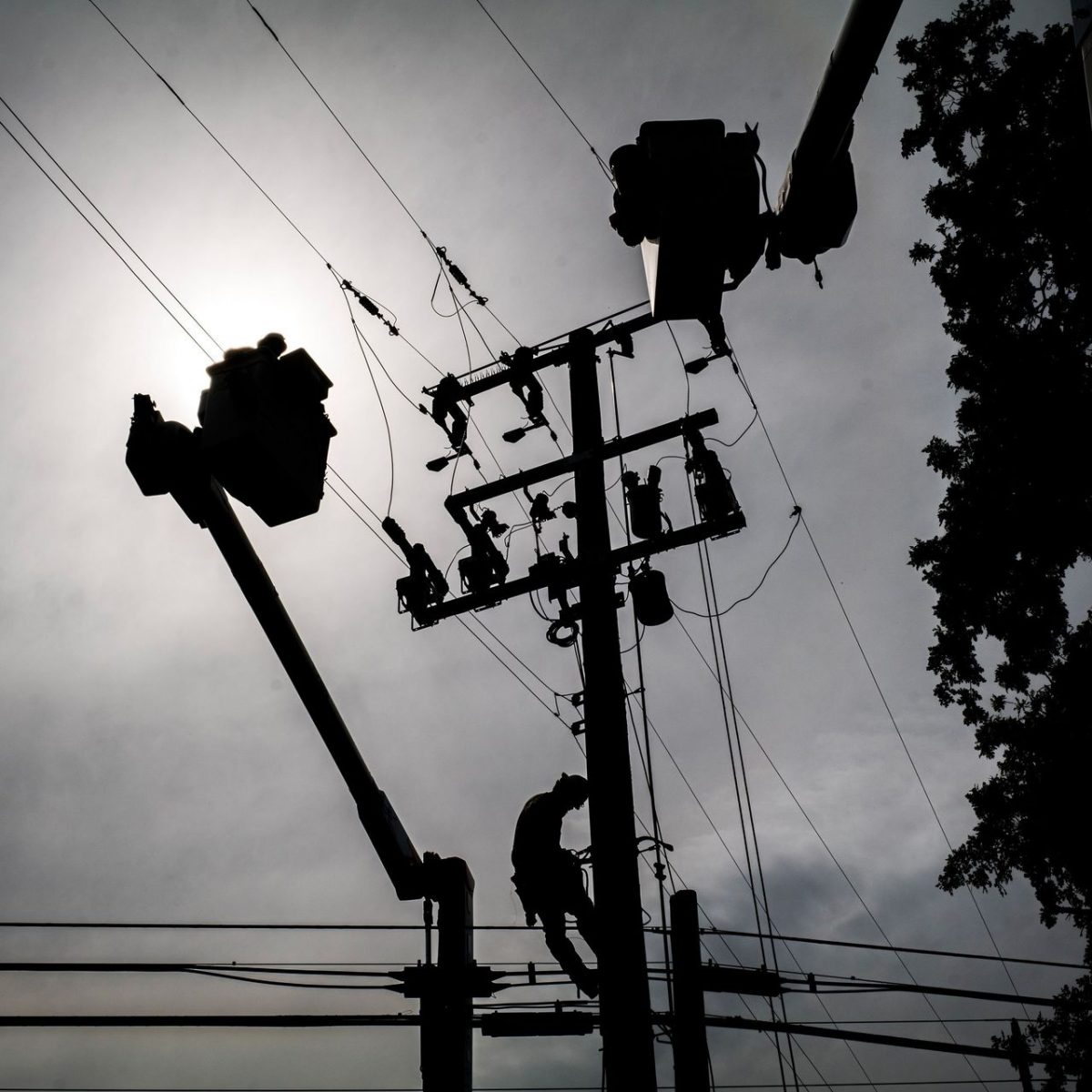 Douala and Yaoundé Electricity Networks in Cameroon Set for Renovation