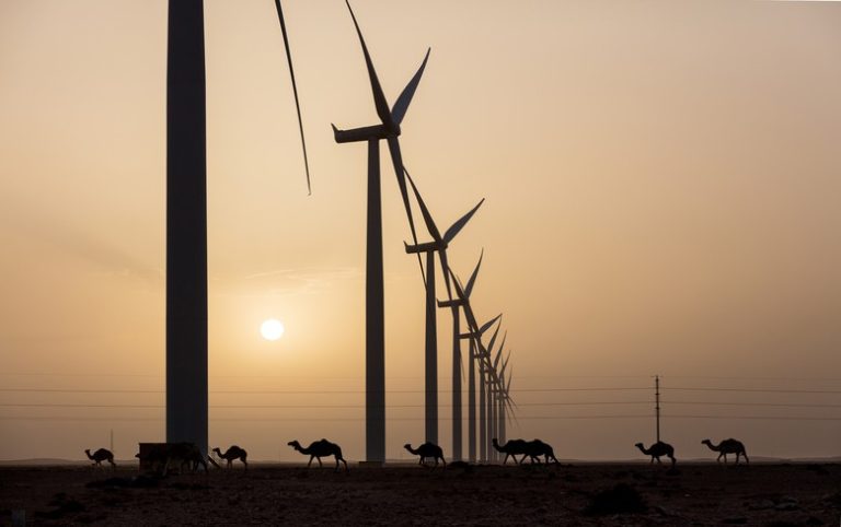 400MW Morocco Wind Farm Project Tender Launched