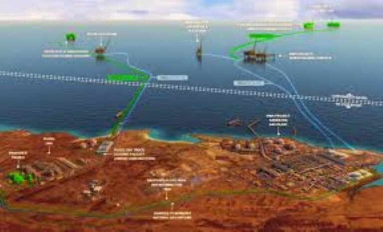 Browse LNG Project Cost Climbs to US$35bn as Carbon Capture Expands Scope