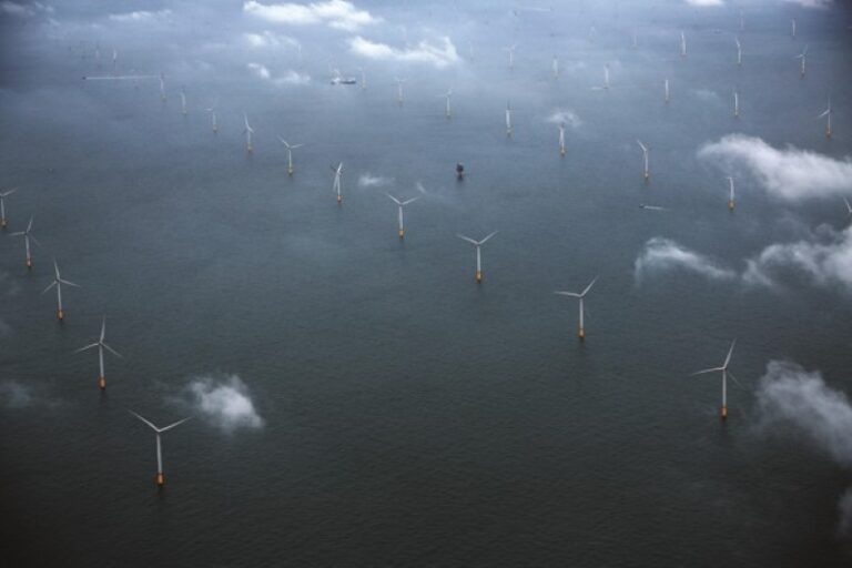 Morgan Offshore Wind Farm Project Returns to Market as The Crown Estate ...