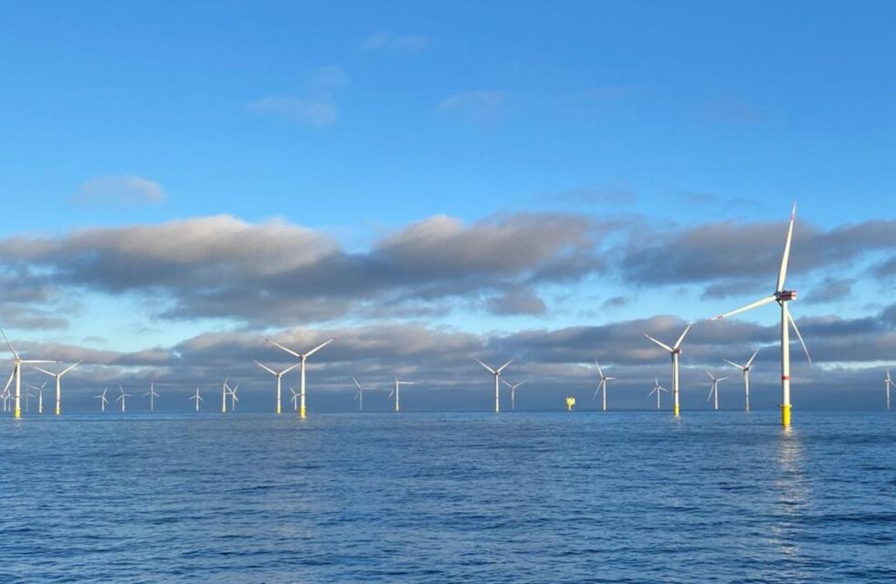 $1bn TotalEnergies Offshore Wind Payout Causes Uproar as Seven States ...